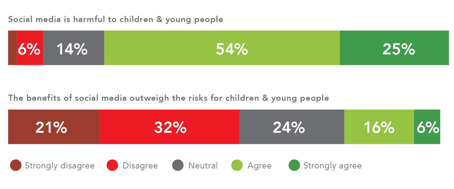 To ban or not to ban? Social media and children’s online safety in the ...